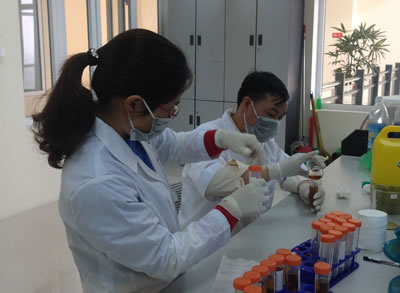 General Introduction